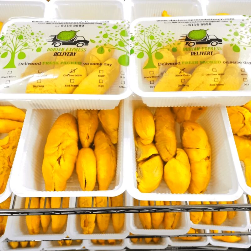 Mao Shan Wang - Musang KING Durian - Premium Quality And Rich Flavor