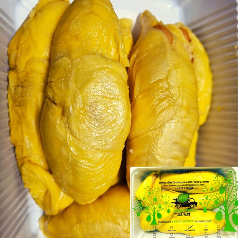 Mao Shan Wang Old Tree Durian - Premium Quality & Rich Flavor