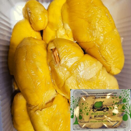 Mao Shan Wang - Musang KING Durian - Premium Quality And Rich Flavor