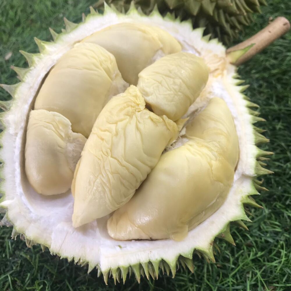 Shop Our Durians - Durian Express Delivery